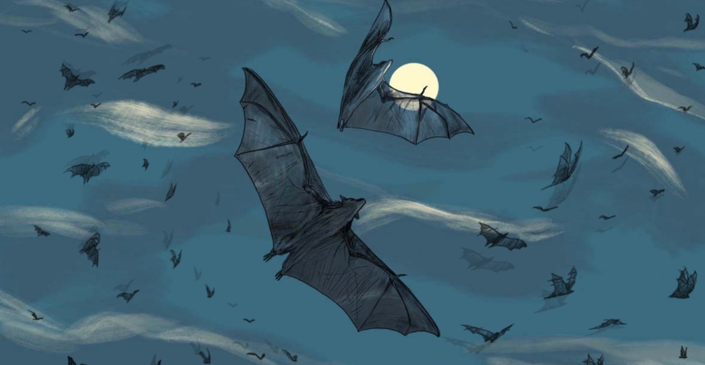 The Bat Lands - Online Journalism Awards