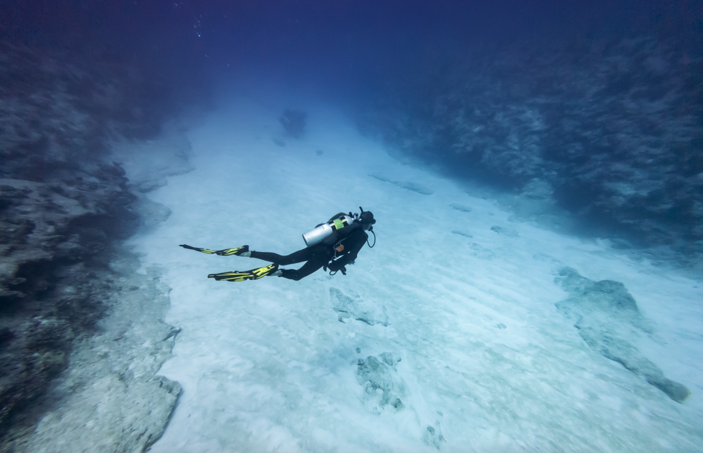 Guardians of the Deep - Online Journalism Awards