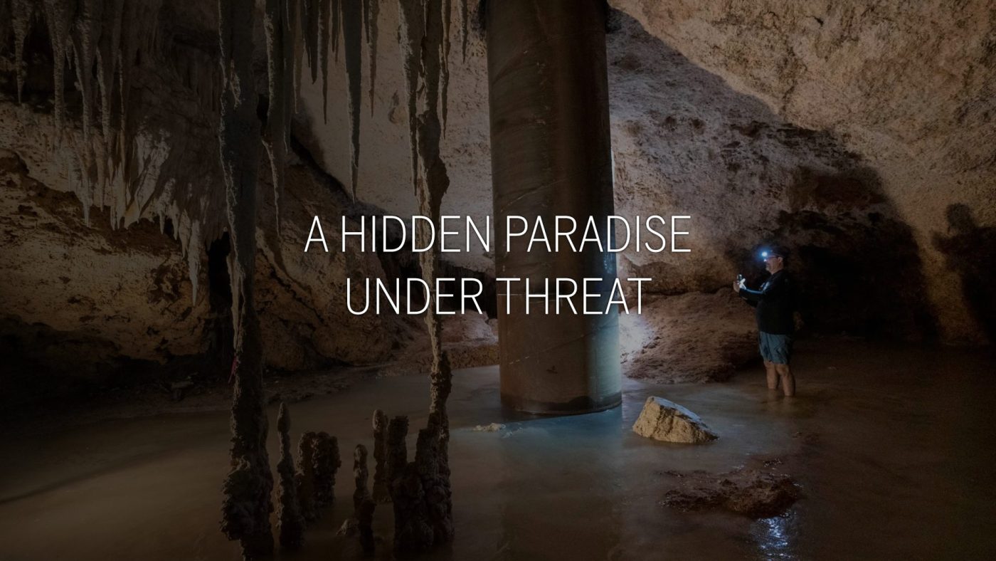 A Hidden Paradise Under Threat - Online Journalism Awards